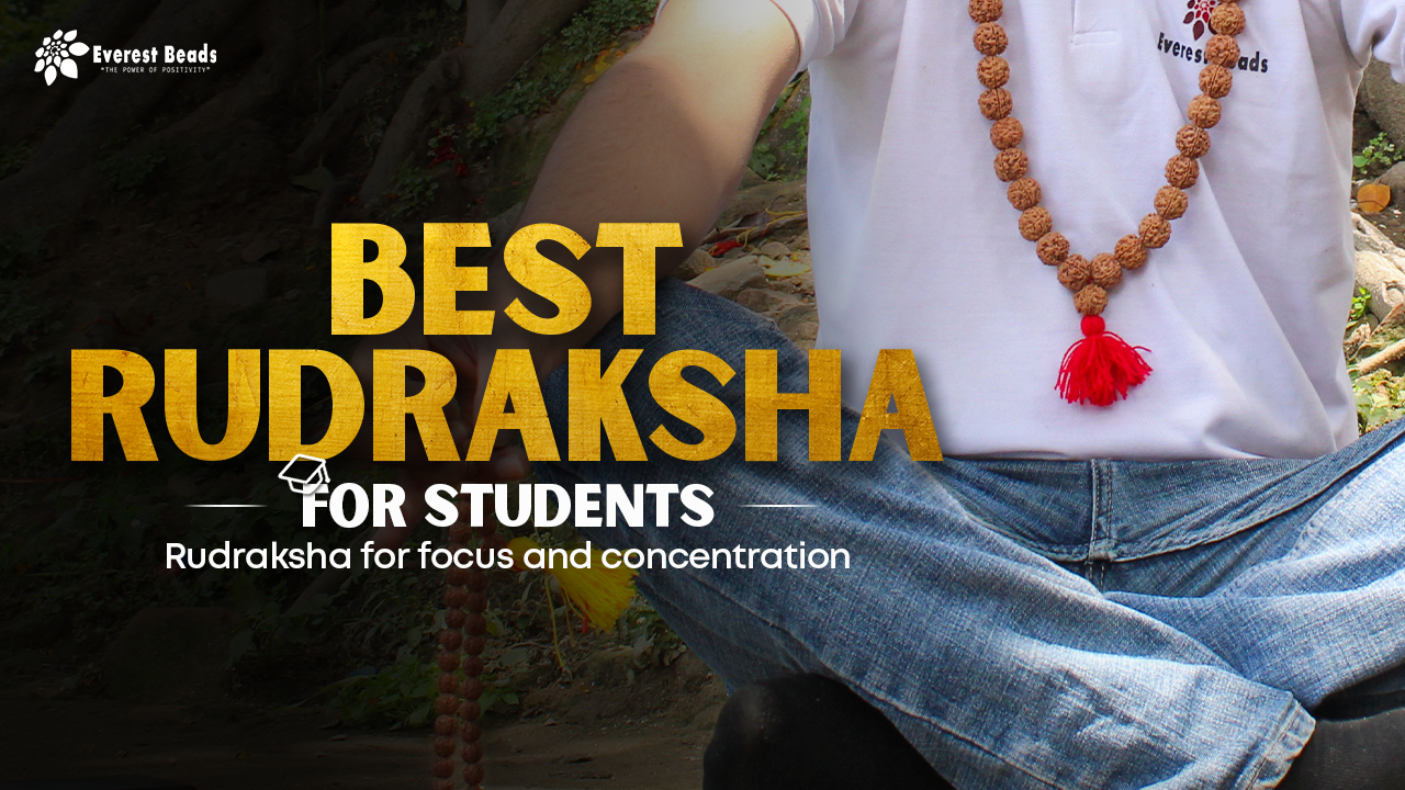 Best Rudraksha for students: Rudraksha for Focus and concentration ...