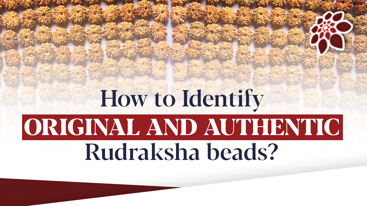 How to Identify Original and authentic Rudraksha Beads? | Everest Beads
